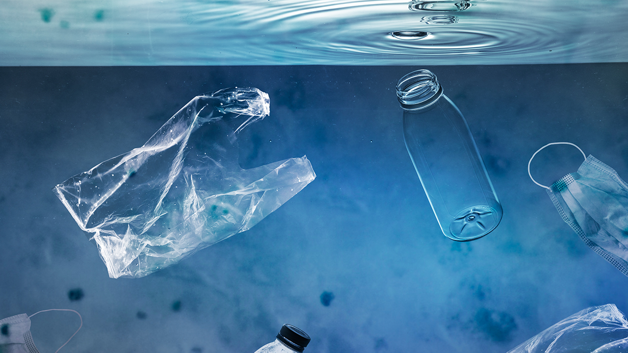 El Impacto Mortal del Agua Contaminada: Un Problema Global que Afecta a ...