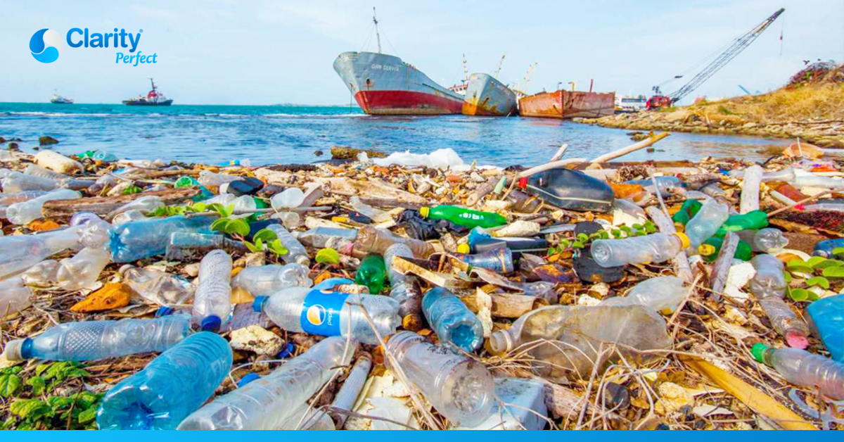 ¿Cómo podemos enfrentar la grave problemática ambiental actual ...